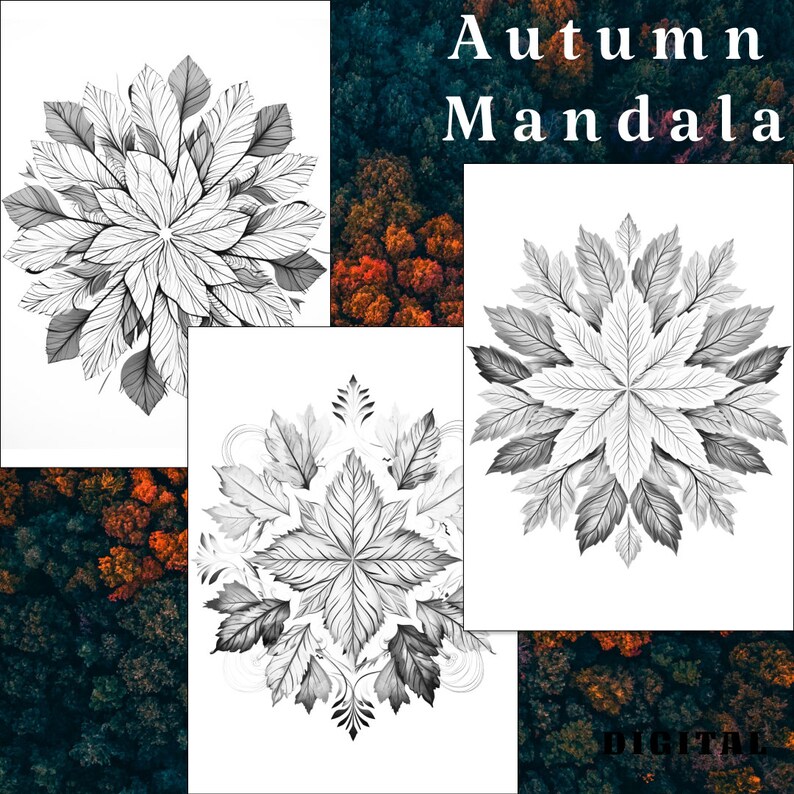 34 Autumn Mandala Coloring Page, Autumn Coloring, Coloring Book, Adults ...