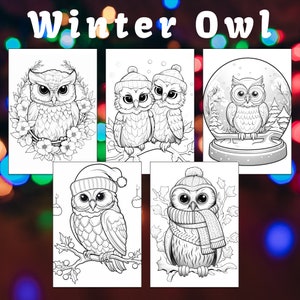 32 Winter Owl Coloring Page, Cute Owl Coloring Book, Owl Coloring Book ...
