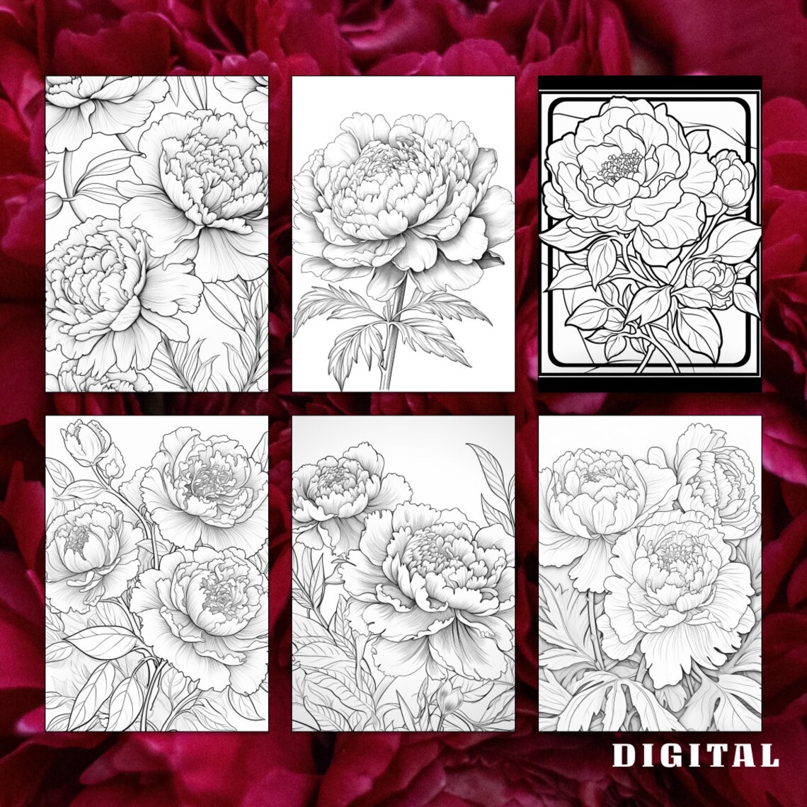 32 Peony Beauty Coloring Page, Flowers Coloring Book, Peonies Coloring ...