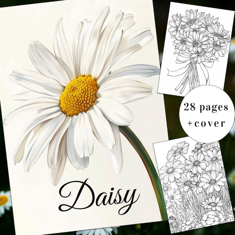 28 Daisy Coloring Page, Flowers Coloring Book, Daisies Coloring, Adults ...