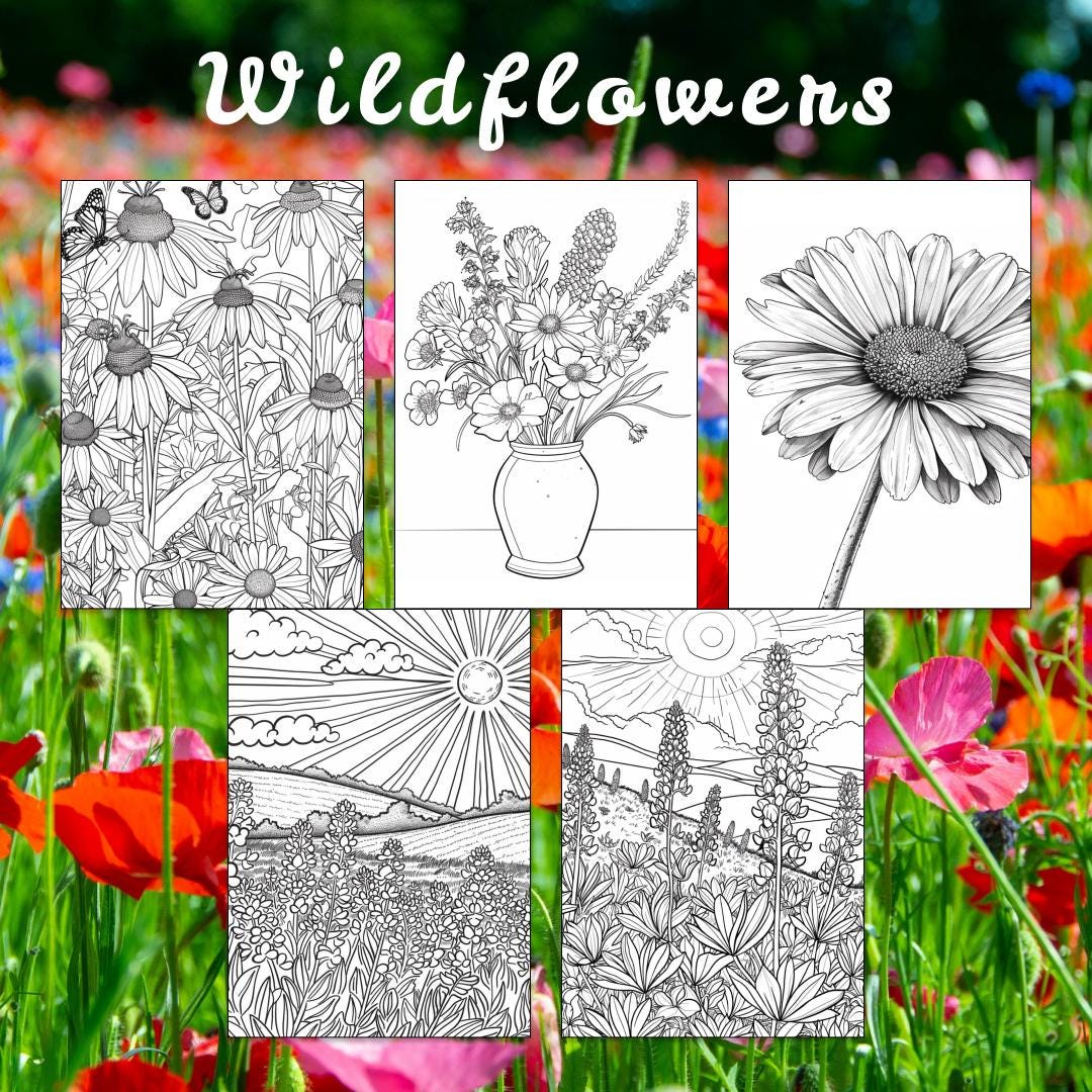 24 Wildflowers Coloring Page, Flowers Coloring Book, Wildflower ...