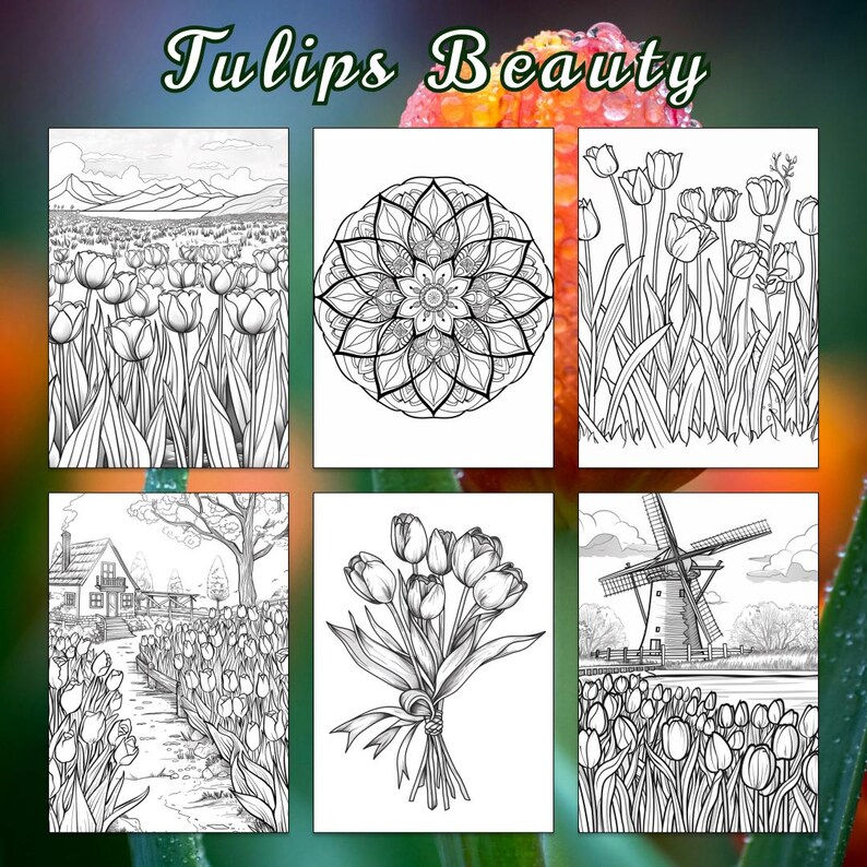 20 Tulips Beauty Coloring Page, Flowers Coloring Book, Tulips Coloring ...