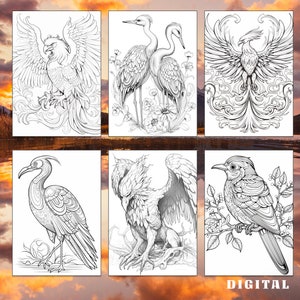 Birds of Myth and Legend Coloring Book, Printable PDF (instant Download ...