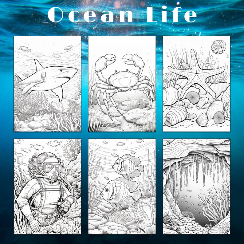 28 Ocean Life Coloring Page, Ocean Coloring, Sea Coloring Book, Adults ...