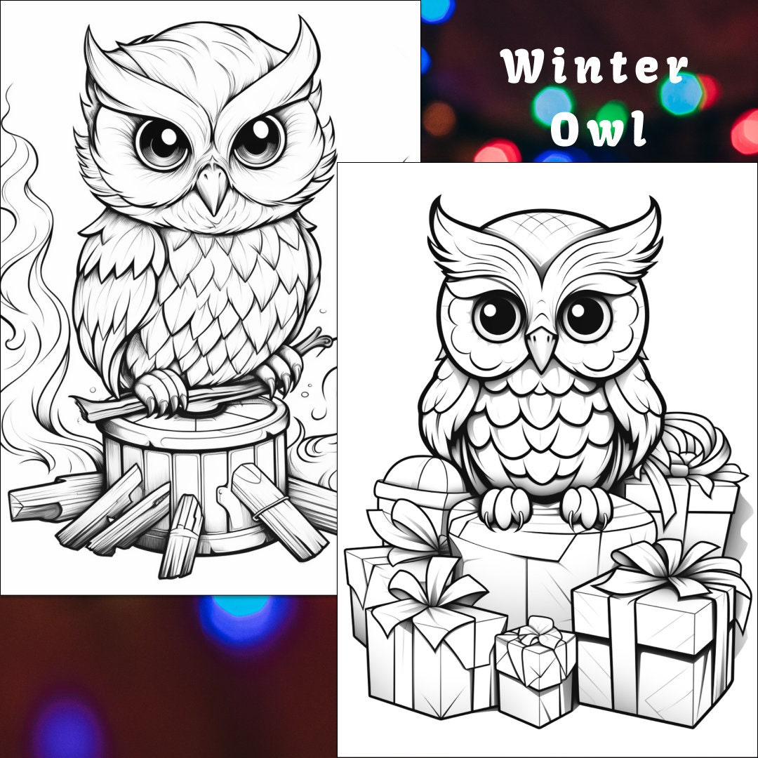 32 Winter Owl Coloring Page Cute Owl Coloring Book Owl - Etsy