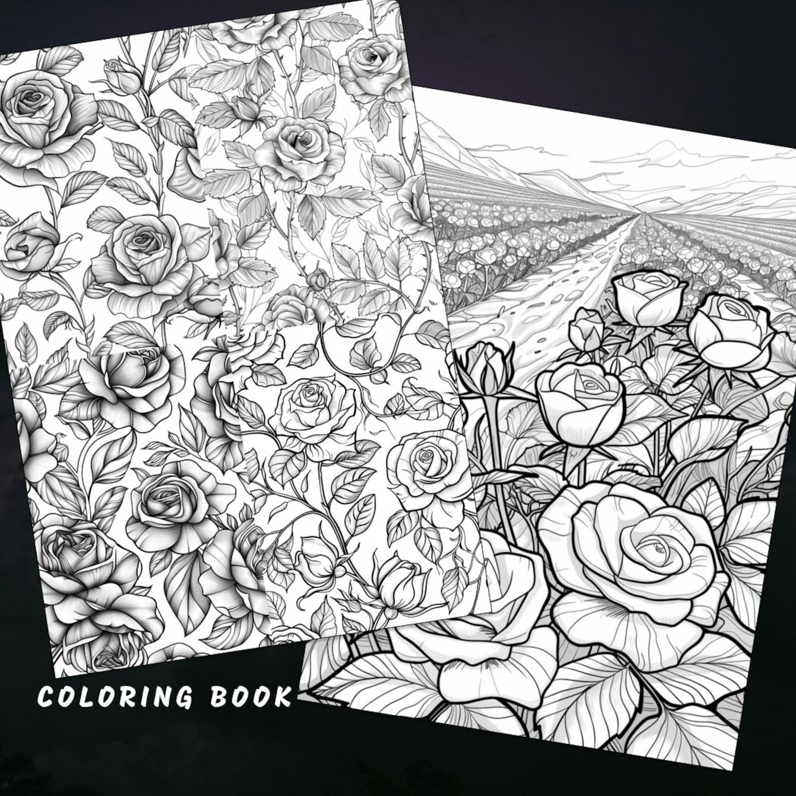 30 Rose Coloring Page, Flowers Coloring Book, Roses Coloring Book ...