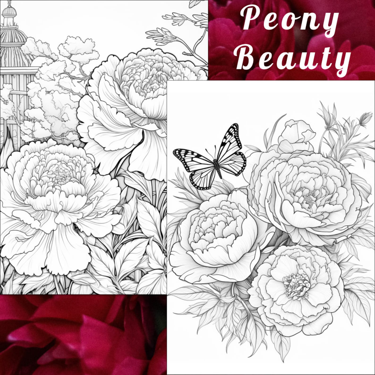 32 Peony Beauty Coloring Page, Flowers Coloring Book, Peonies Coloring ...