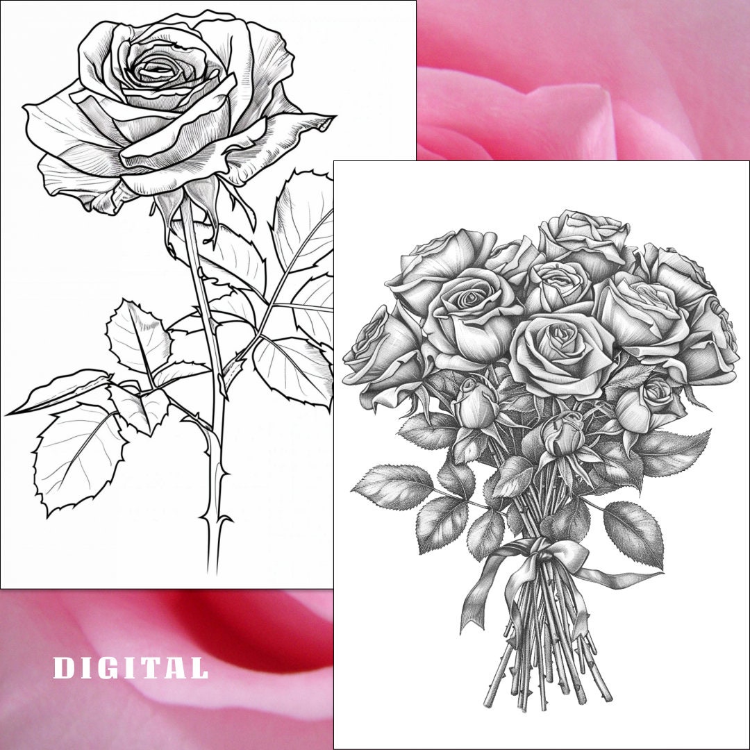 15 Roses Coloring Page, Flowers Coloring Book, Roses Coloring Book ...