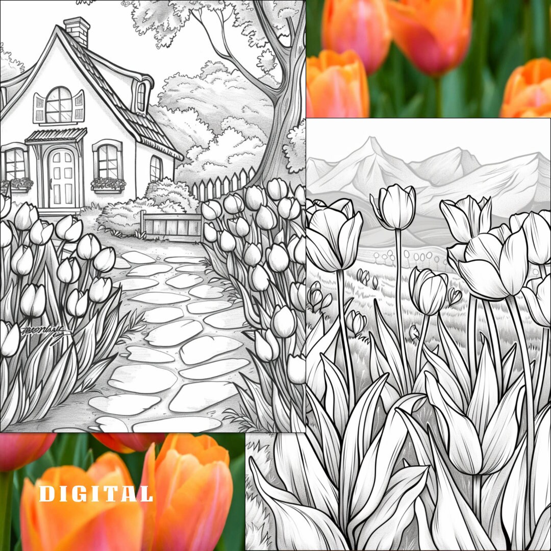 15 Tulips Coloring Page, Flowers Coloring Book, Tulips Coloring Book ...