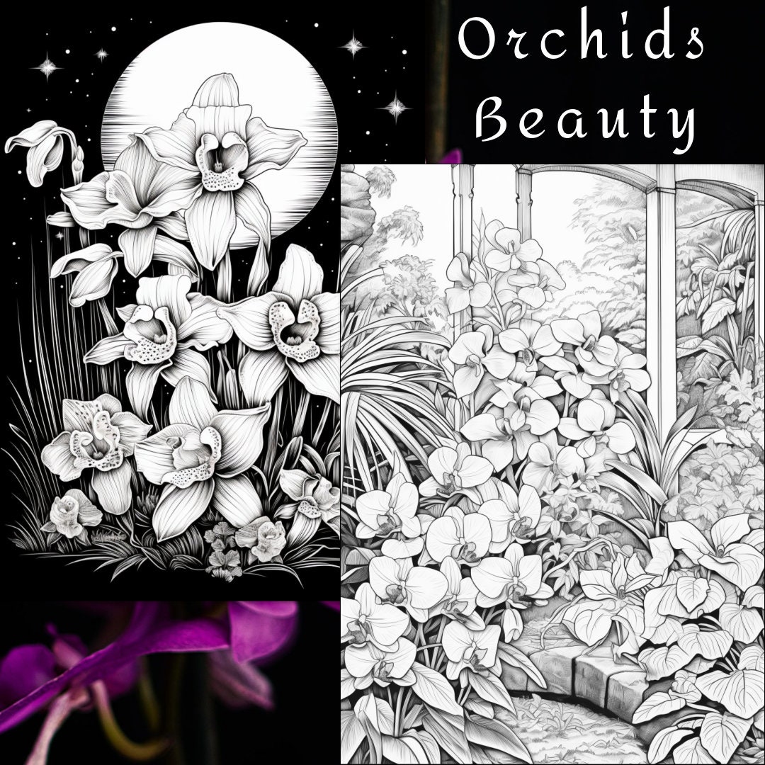 27 Orchids Beauty Coloring Page, Flowers Coloring Book, Orchids ...