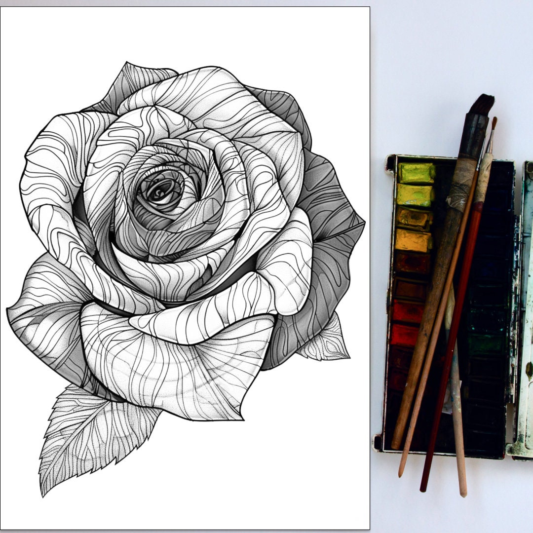 30 Rose Coloring Page, Flowers Coloring Book, Roses Coloring Book ...