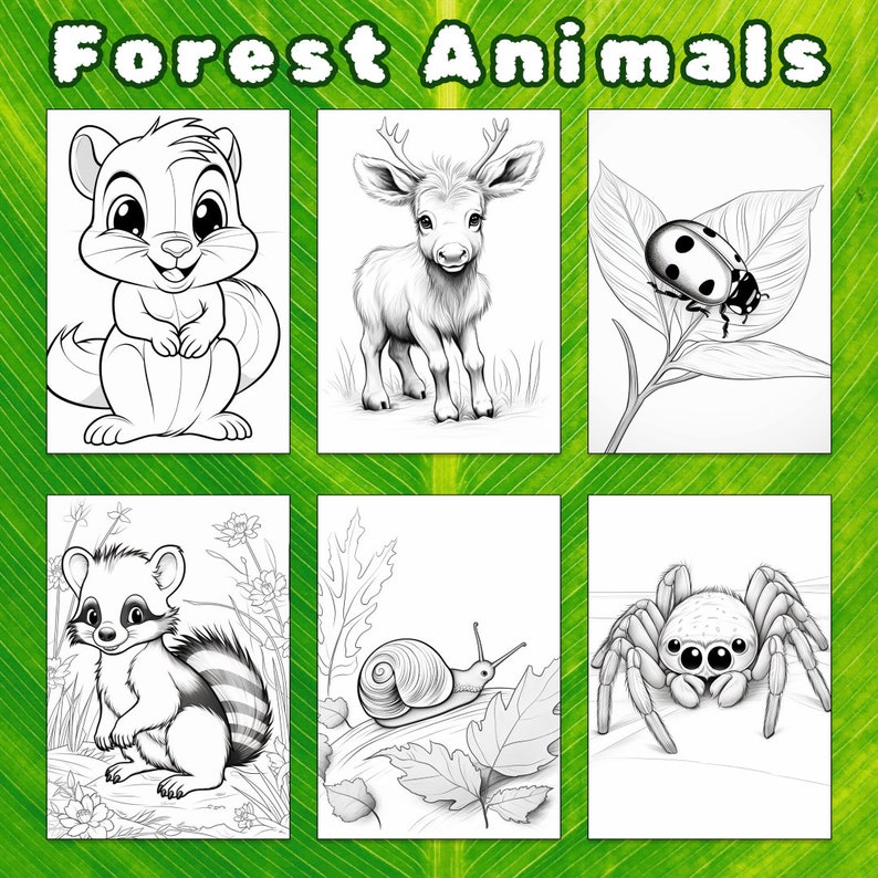 26 Cute Forest Animals Coloring Page Book, Adults + Kids- Instant ...
