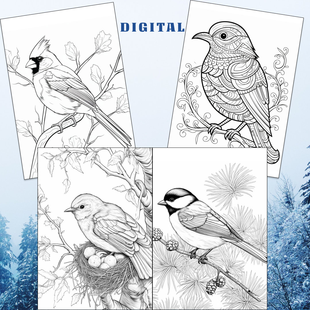 23 Winter Bird Coloring Page, Fantasy Coloring, Winter Coloring, Adults ...