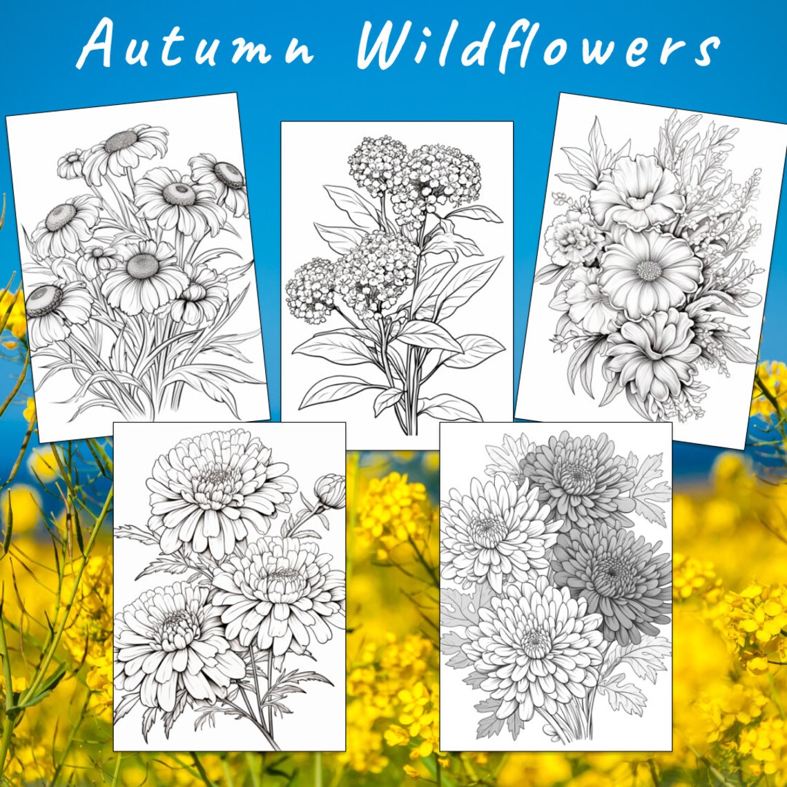 32 Autumn Wildflowers Coloring Page, Autumn Coloring Book, Flower ...