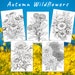 32 Autumn Wildflowers Coloring Page, Autumn Coloring Book, Flower ...