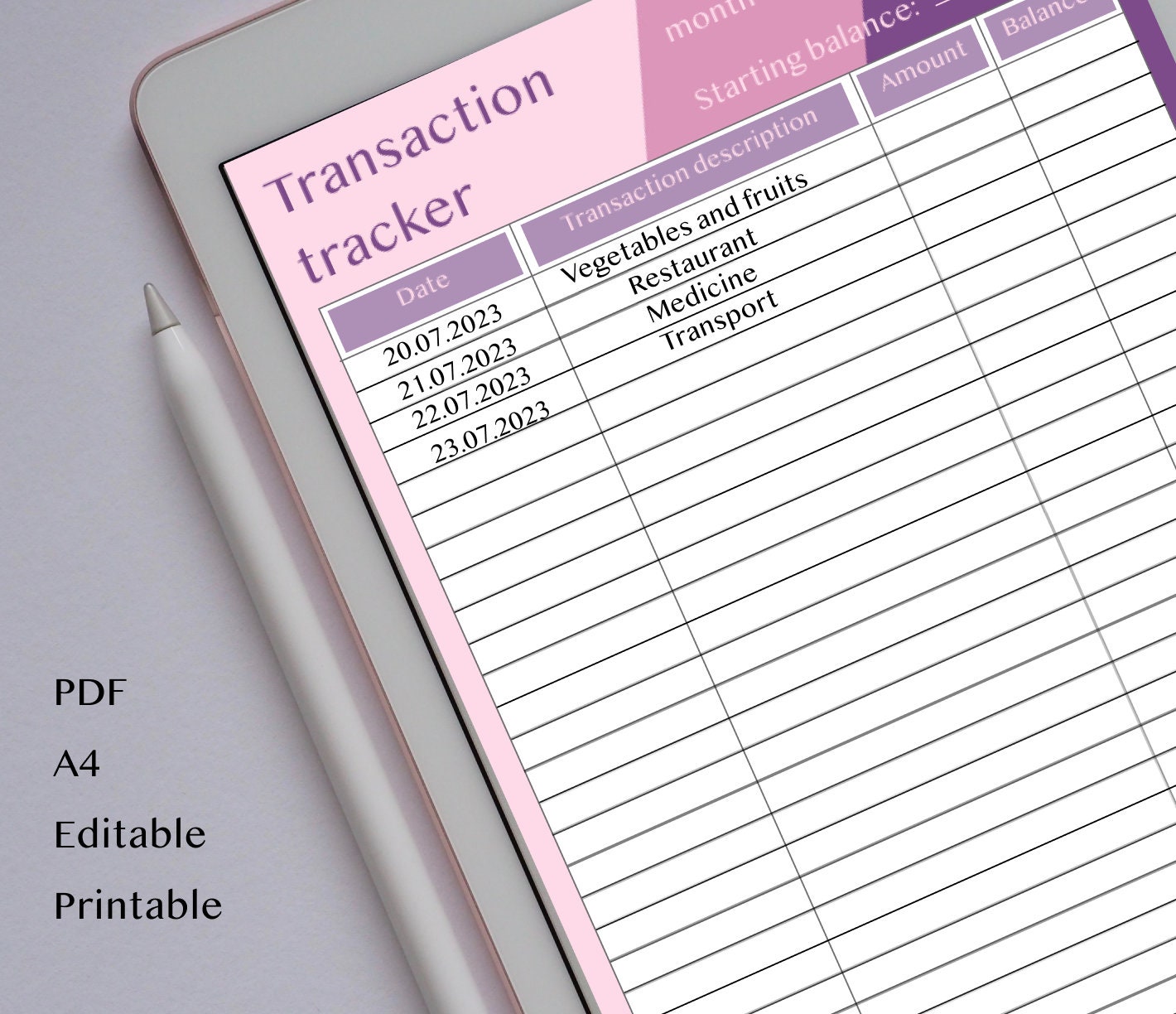 Digital Transaction Tracker, Template Planner, A4, PDF, Expense Tracker ...
