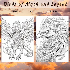 Birds Coloring Page, Birds Coloring Book, Coloring Book, Adults + Kids ...