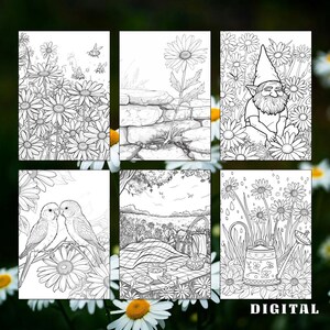 28 Daisy Coloring Page, Flowers Coloring Book, Daisies Coloring, Adults ...