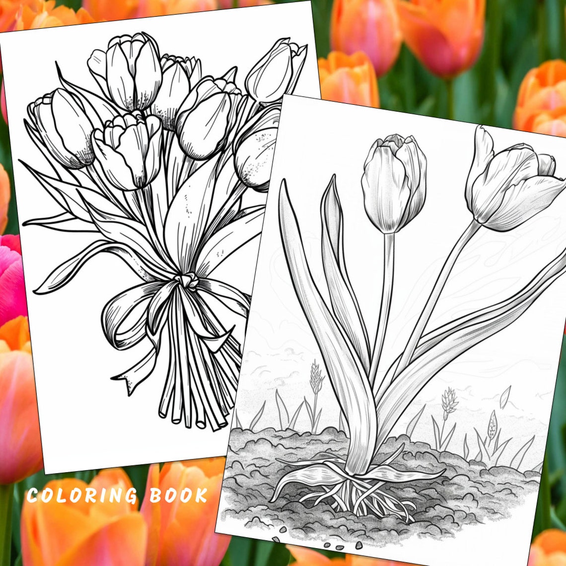 15 Tulips Coloring Page, Flowers Coloring Book, Tulips Coloring Book ...