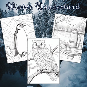 28 Winter Wonderland Coloring Page, Fantasy Coloring, Winter Coloring ...