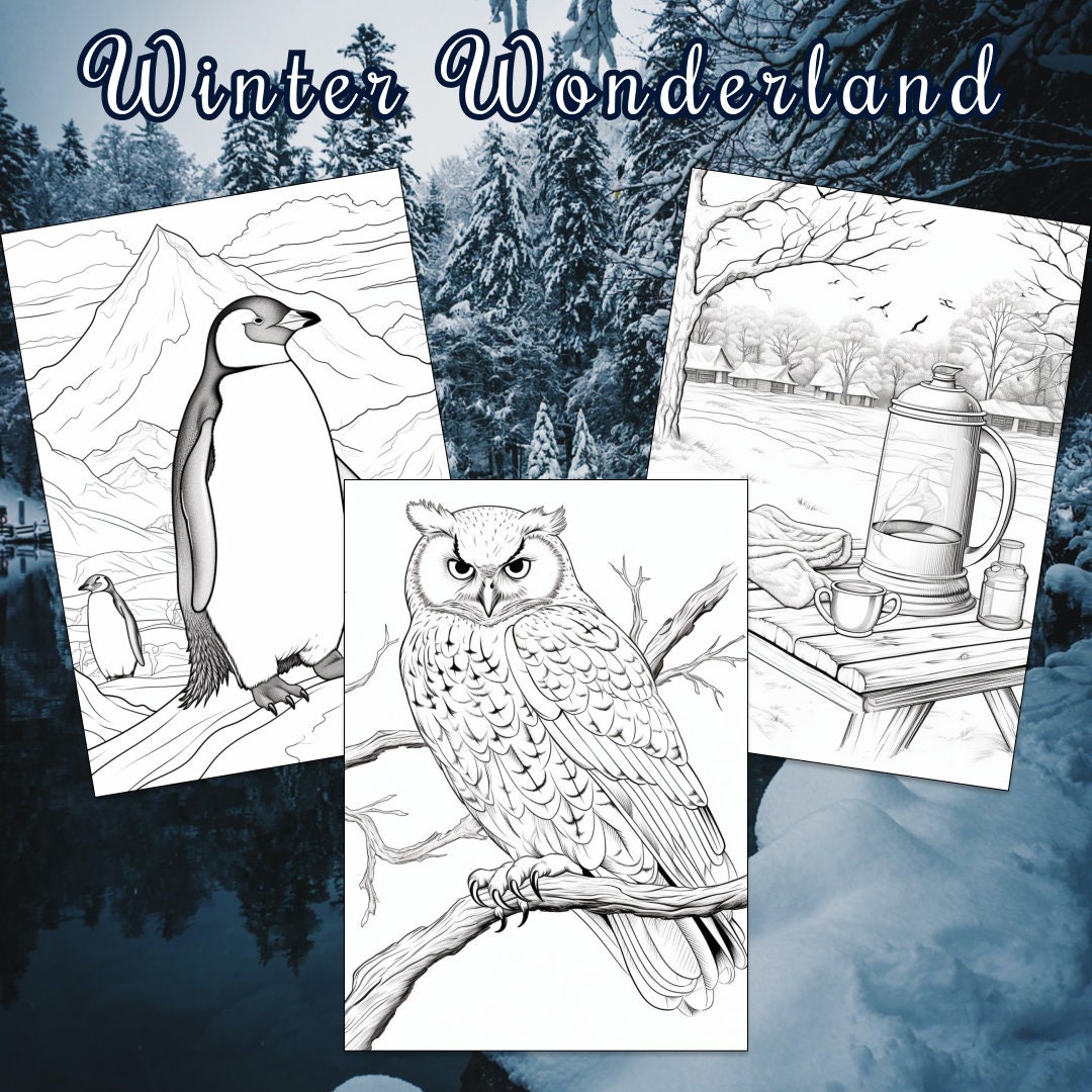 28 Winter Wonderland Coloring Page, Fantasy Coloring, Winter Coloring ...