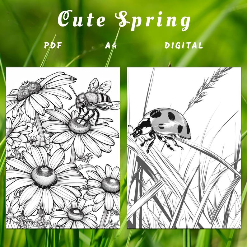 24 Cute Spring Coloring Page, Spring Coloring Book, Kawaii Coloring ...