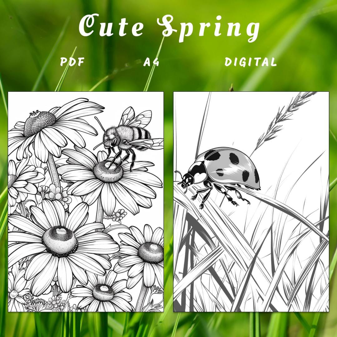 24 Cute Spring Coloring Page, Spring Coloring Book, Kawaii Coloring ...