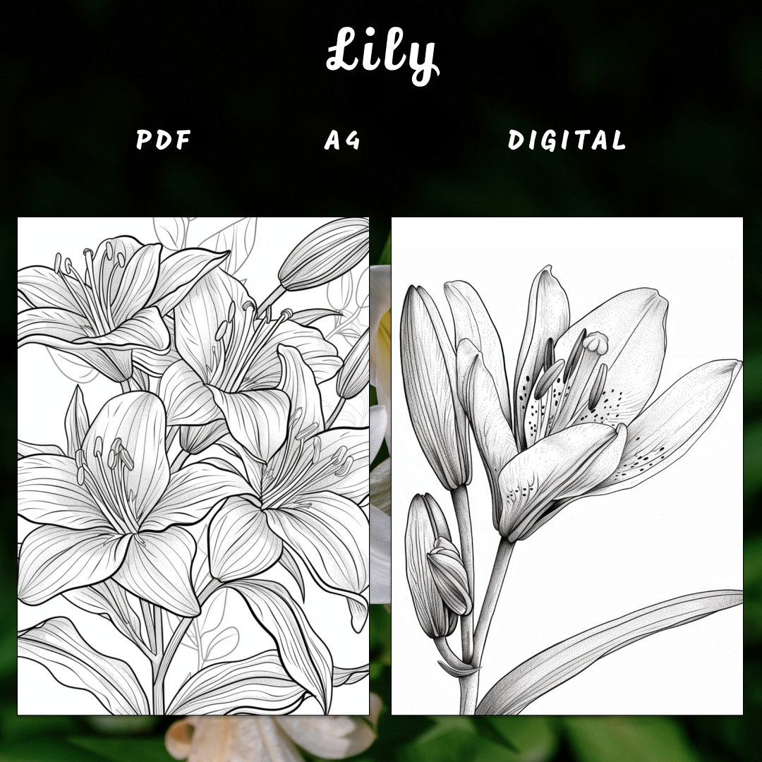 23 Lily Coloring Page, Flowers Coloring Book, Lilies Coloring Book ...