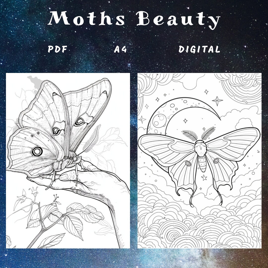 27 Moths Beauty Coloring Page, Moths Coloring Book, Insect Coloring ...