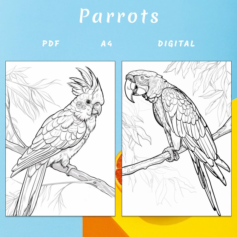 25 Parrots Coloring Page, Birds Coloring, Parrots Coloring Book, Adults ...