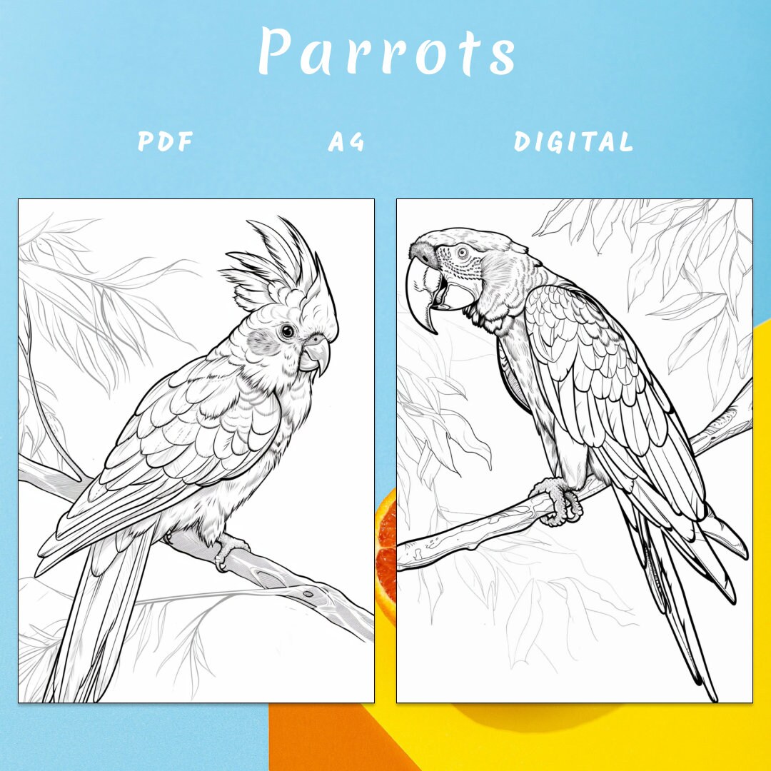 25 Parrots Coloring Page, Birds Coloring, Parrots Coloring Book, Adults ...
