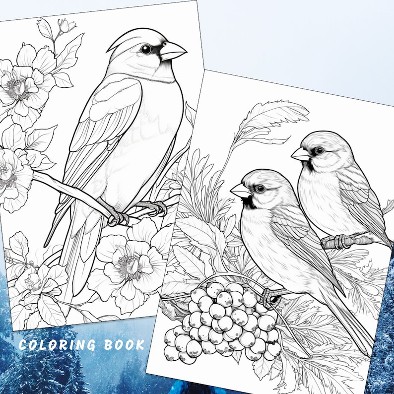 23 Winter Bird Coloring Page, Fantasy Coloring, Winter Coloring, Adults ...