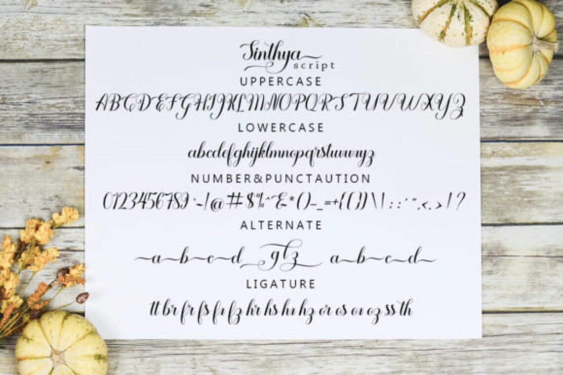Sinthya Font - Etsy