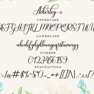 Ackerley Font - Etsy