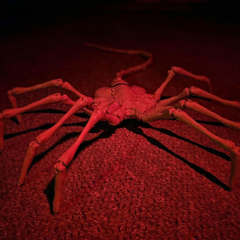 Facehugger Mask - Etsy