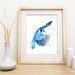 Blue Jay Art Print - Etsy