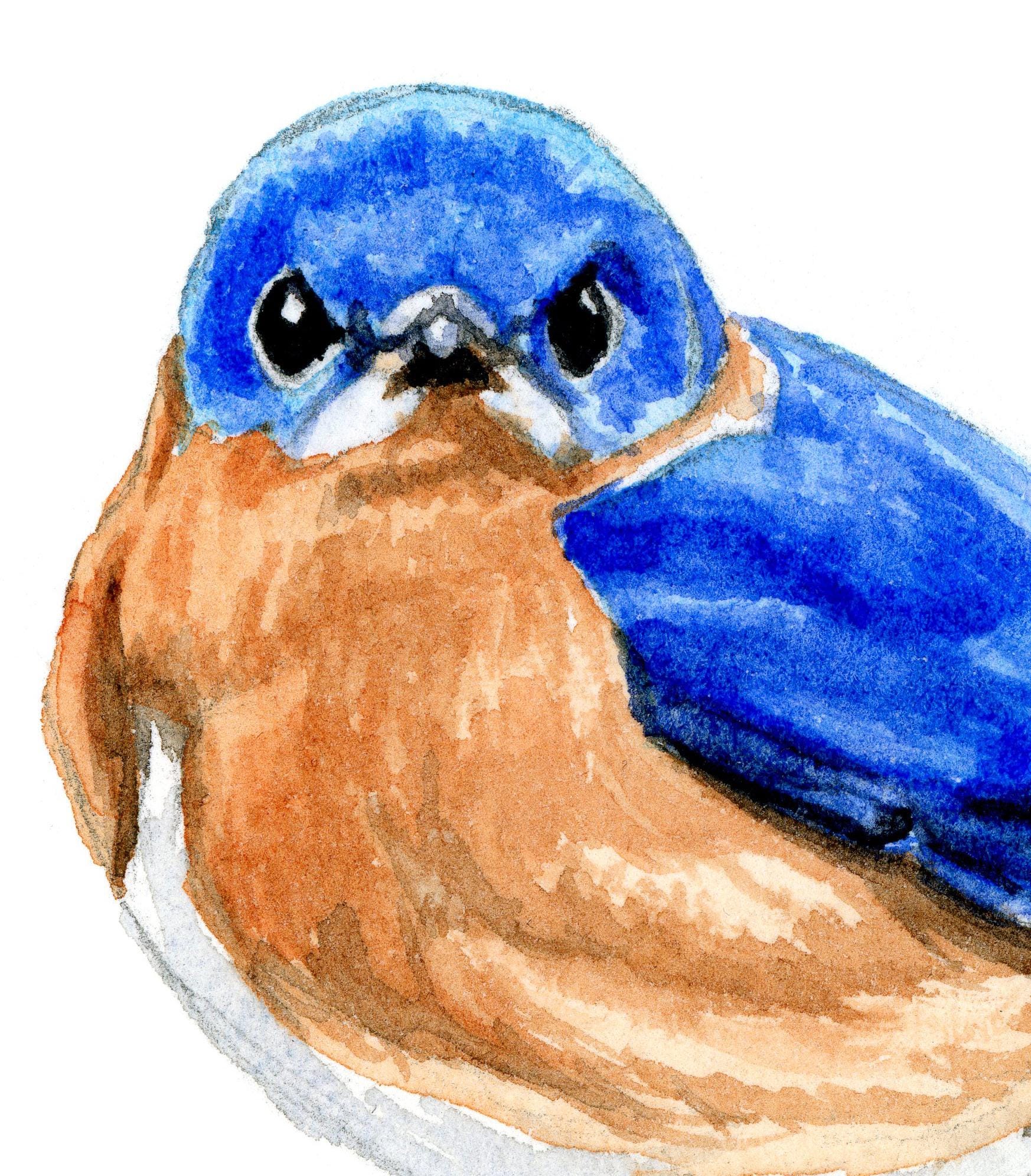 Blue Bird Art Print - Etsy