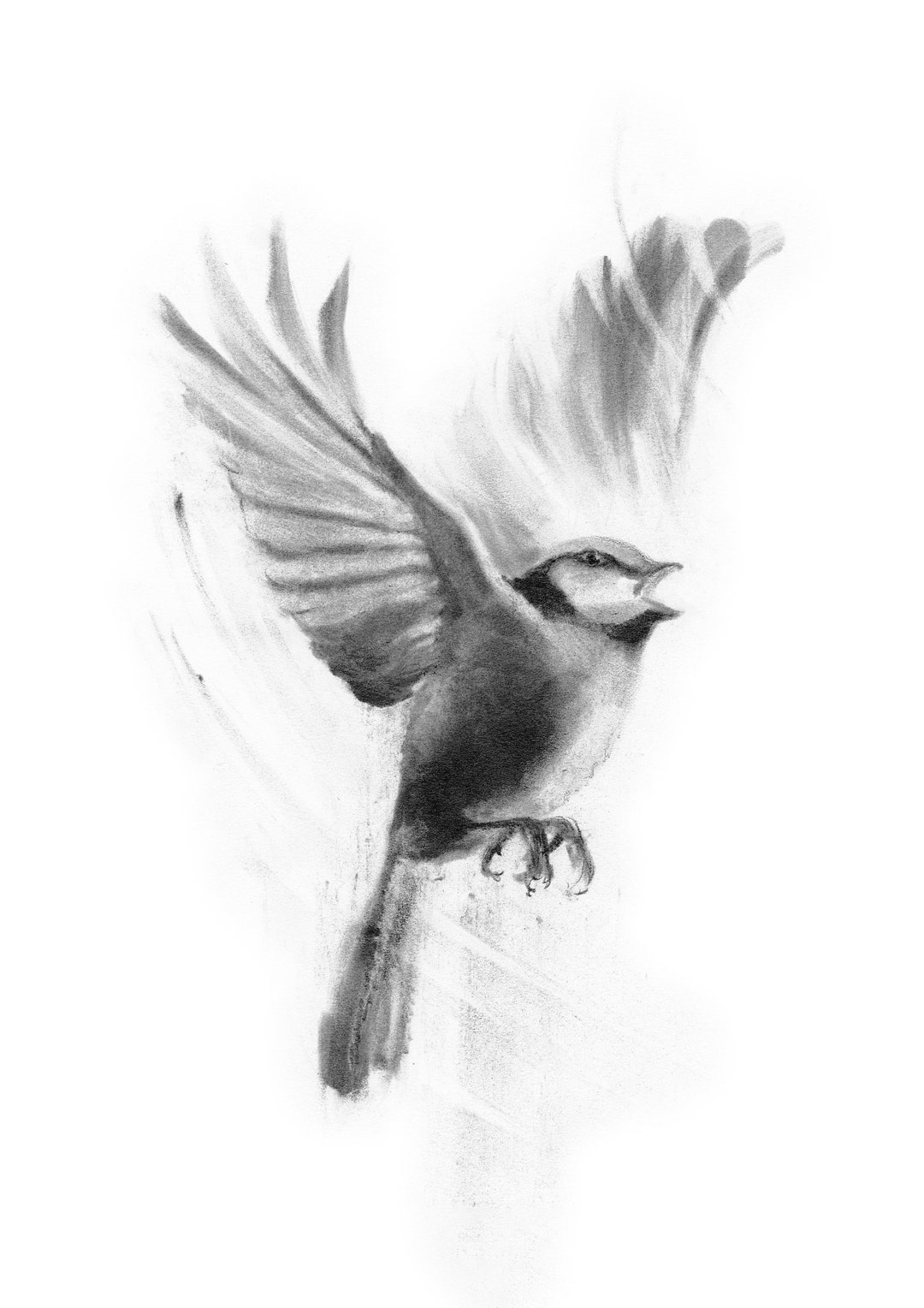 ORIGINAL Bird Artwork Handmade Graphite Powder Unique Made in France ...
