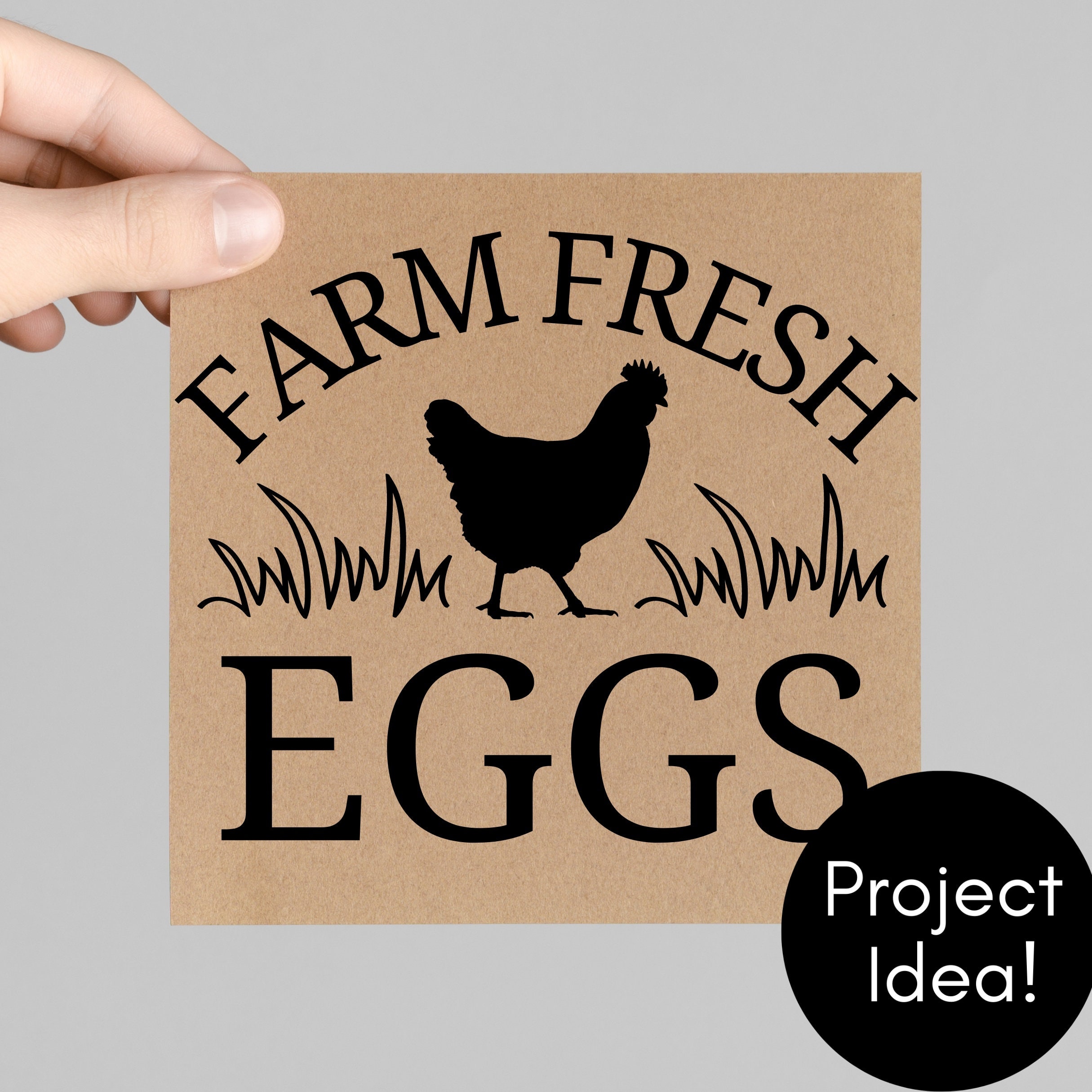Farm Fresh Eggs SVG, Chicken Sign Cut File, PNG Printable Farmhouse ...