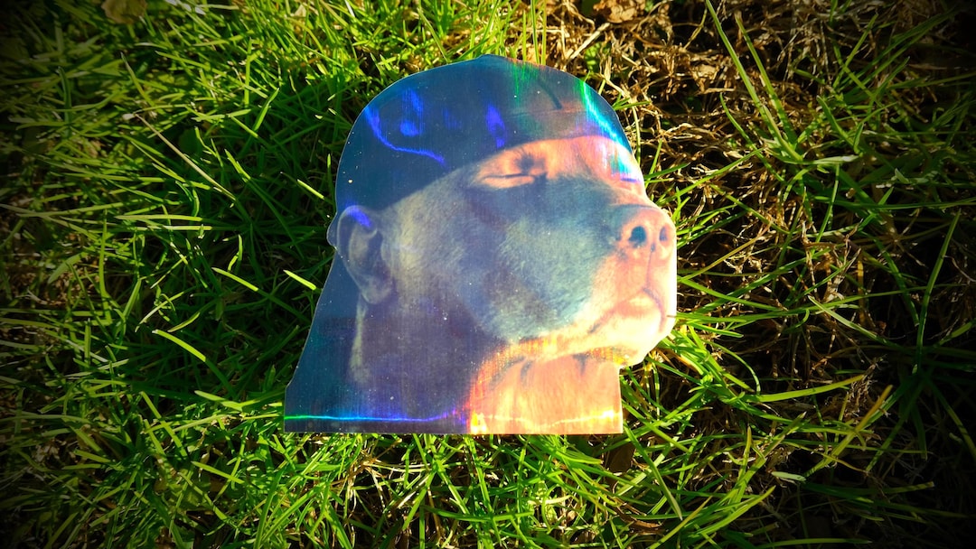 Holographic Sticker ~ Durag Dog Sticker UV/WEATHERPROOF & WATERPROOF ...