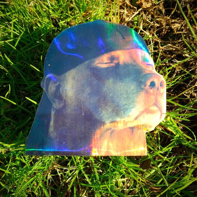 Dog Durag - Etsy