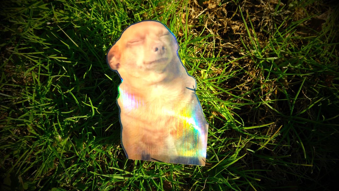 Dog Meme Sticker UV/WEATHERPROOF & WATERPROOF Outdoor/indoor - Etsy