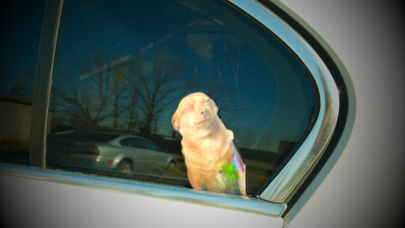 Dog Meme Sticker 5x3 Inch UV/WEATHERPROOF & WATERPROOF Outdoor/indoor ...