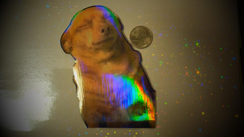 Dog Meme Sticker UV/WEATHERPROOF & WATERPROOF Outdoor/indoor - Etsy