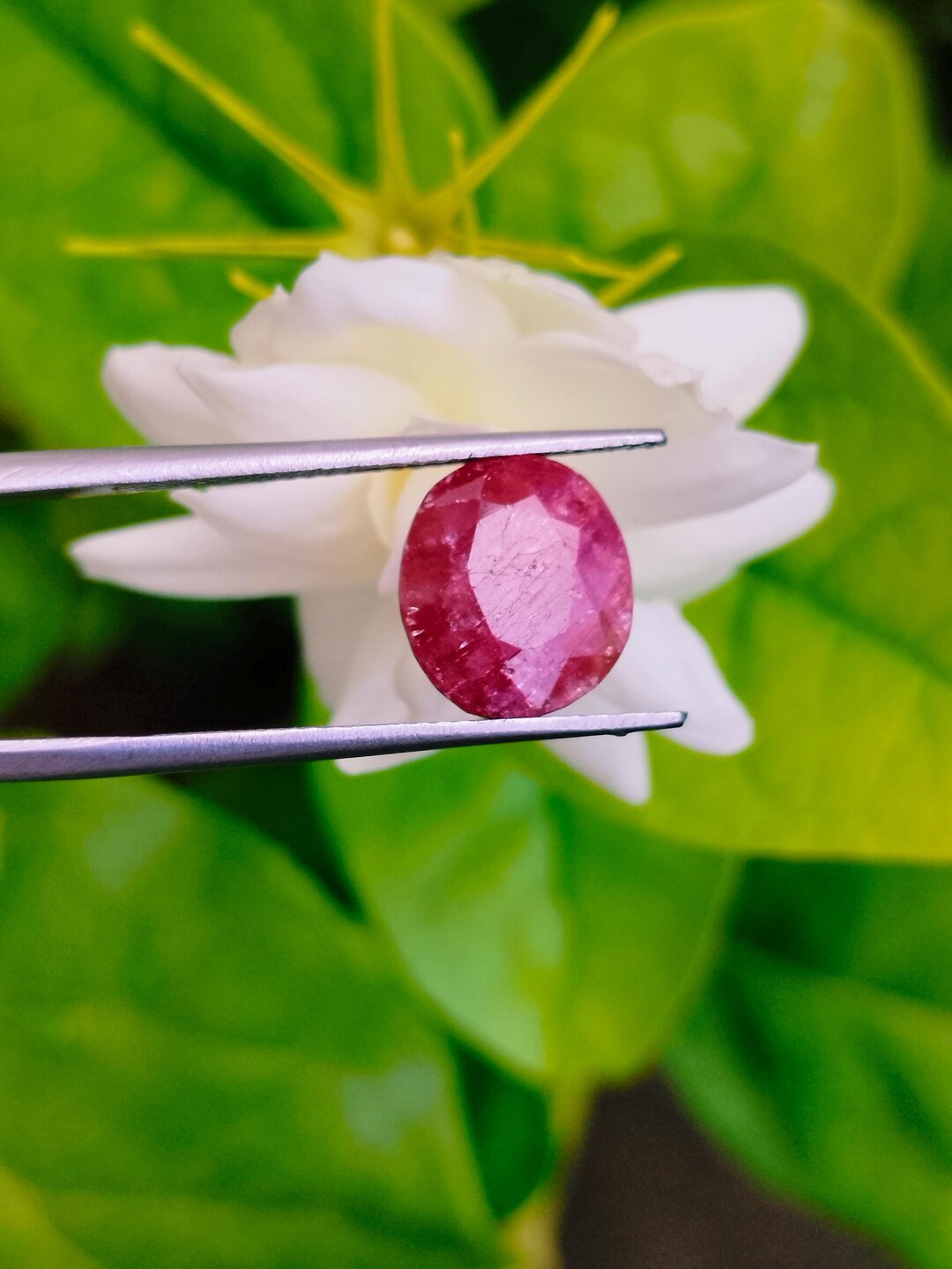 Natural Red Color Ruby Good Shape Ruby Gemstone Unheated Untreated Ruby ...