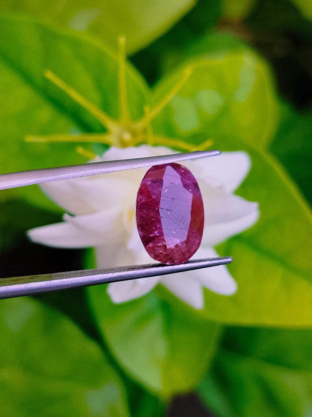 Natural Red Color Ruby Good Shape Ruby Gemstone Unheated Untreated Ruby ...