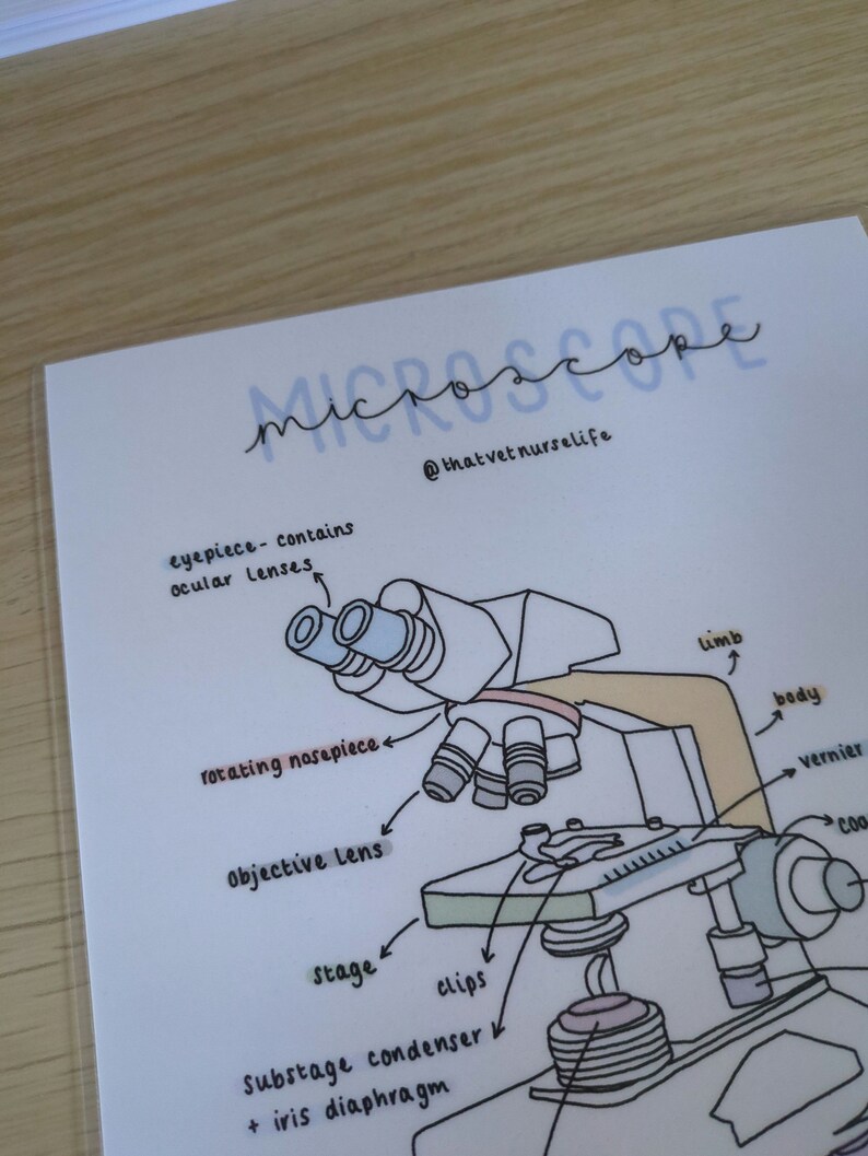 Microscope Labeled Poster: Veterinary Student Lab Study Aid - Etsy UK