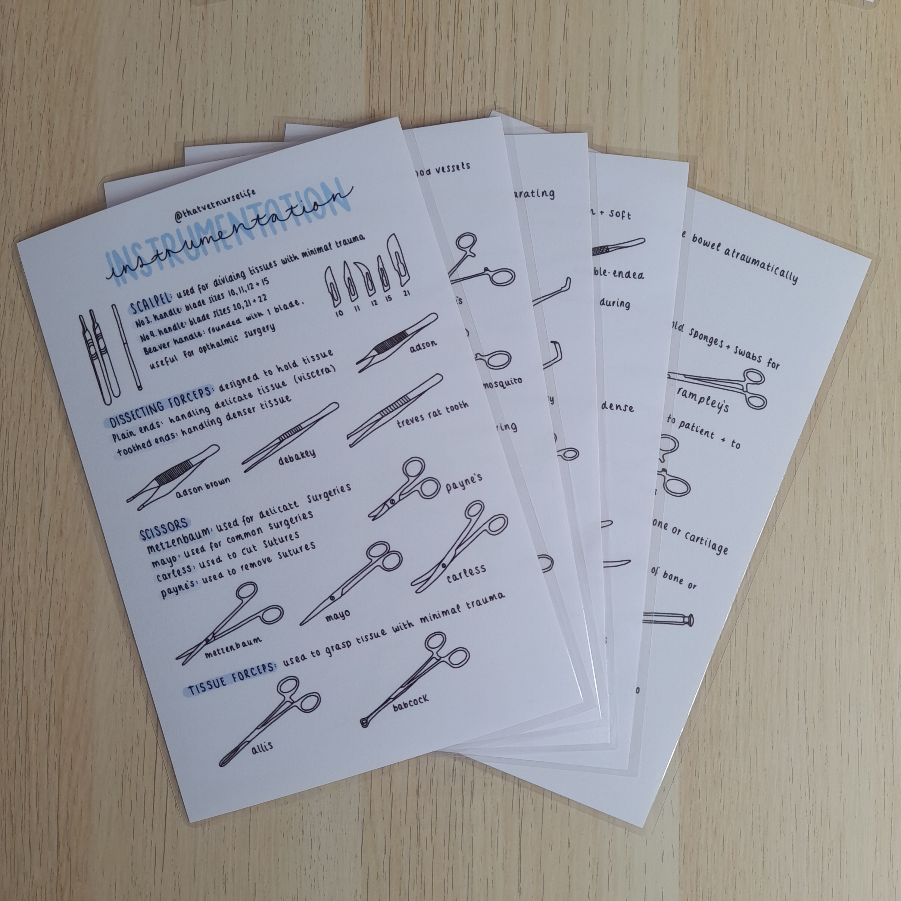 A4/A5 Veterinary Surgical Instruments 5-page Illustrated Guide - Etsy UK