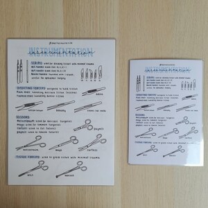 A4/A5 Veterinary Surgical Instruments 5-page Illustrated Guide - Etsy UK