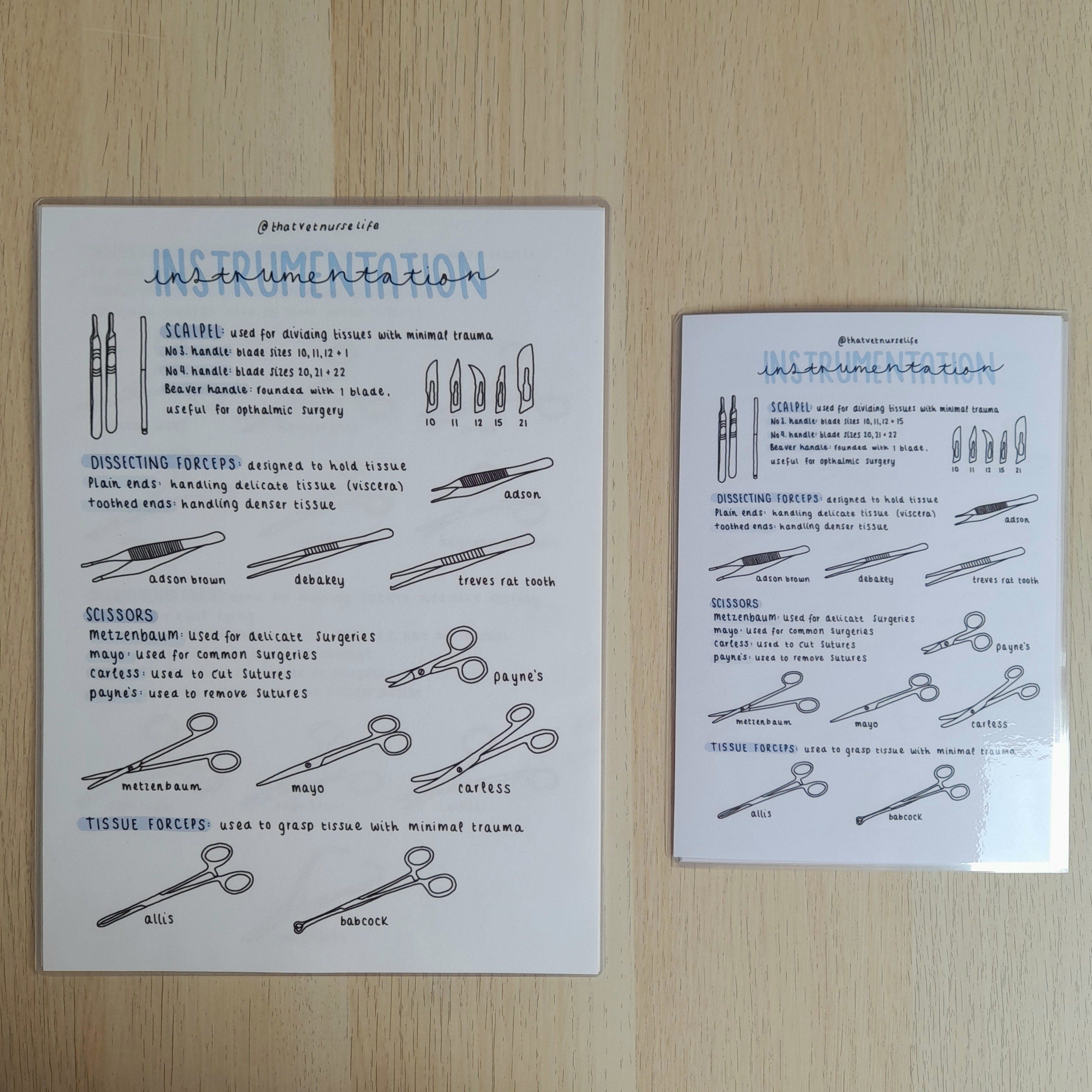 A4/A5 Veterinary Surgical Instruments 5-page Illustrated Guide - Etsy UK